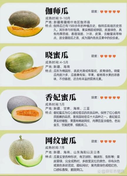 甜瓜和香瓜的区别_哪个更甜更好吃-第2张图片-山城妙识
