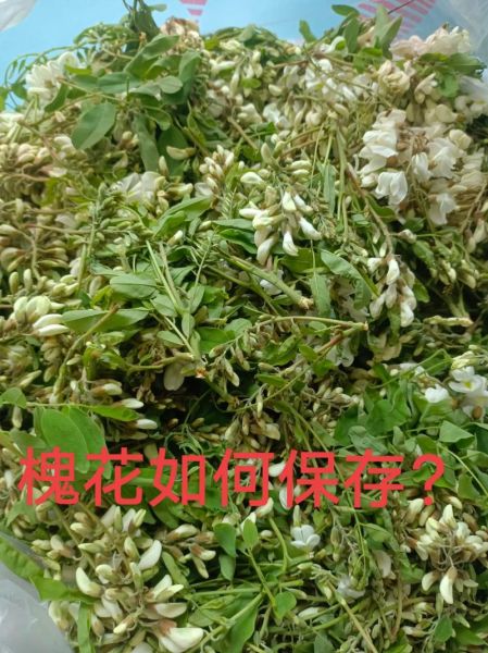 冷冻的槐花怎么蒸_冷冻槐花蒸多久-第3张图片-山城妙识