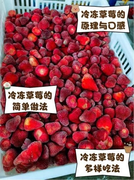 冰冻草莓怎么做_冷冻草莓能保存多久-第1张图片-山城妙识 冰冻草莓怎么做_冷冻草莓能保存多久-第1张图片-山城妙识