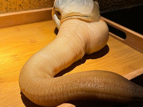 加拿大象拔蚌怎么挑选_加拿大象拔蚌多少钱一斤-第2张图片-山城妙识 加拿大象拔蚌怎么挑选_加拿大象拔蚌多少钱一斤-第2张图片-山城妙识