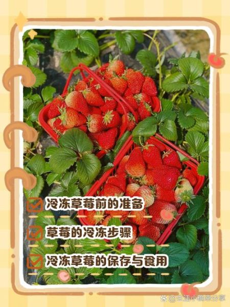 冰冻草莓怎么做_冷冻草莓能保存多久-第2张图片-山城妙识 冰冻草莓怎么做_冷冻草莓能保存多久-第2张图片-山城妙识