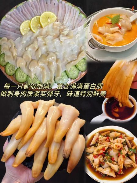 加拿大象拔蚌怎么挑选_加拿大象拔蚌多少钱一斤-第3张图片-山城妙识 加拿大象拔蚌怎么挑选_加拿大象拔蚌多少钱一斤-第3张图片-山城妙识