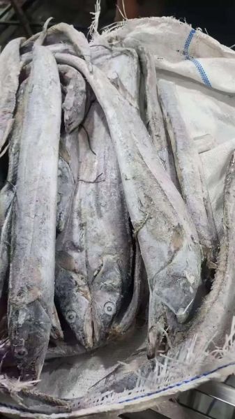 最便宜的海鱼有哪些_冷冻带鱼为什么便宜-第3张图片-山城妙识