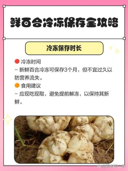 鲜百合怎么保存_鲜百合可以放冰箱吗-第3张图片-山城妙识 鲜百合怎么保存_鲜百合可以放冰箱吗-第3张图片-山城妙识