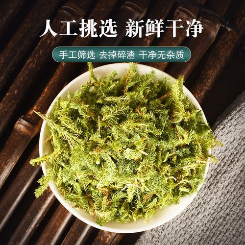 透骨草泡脚的禁忌_哪些人不能用透骨草泡脚-第3张图片-山城妙识 透骨草泡脚的禁忌_哪些人不能用透骨草泡脚-第3张图片-山城妙识