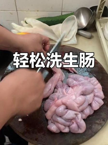 猪肠子怎么清洗_猪肠子怎么炒才脆嫩-第2张图片-山城妙识