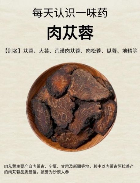肉苁蓉的功效与主治_肉苁蓉怎么吃效果最好-第2张图片-山城妙识 肉苁蓉的功效与主治_肉苁蓉怎么吃效果最好-第2张图片-山城妙识
