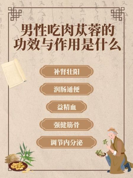 肉苁蓉的功效与主治_肉苁蓉怎么吃效果最好-第1张图片-山城妙识 肉苁蓉的功效与主治_肉苁蓉怎么吃效果最好-第1张图片-山城妙识