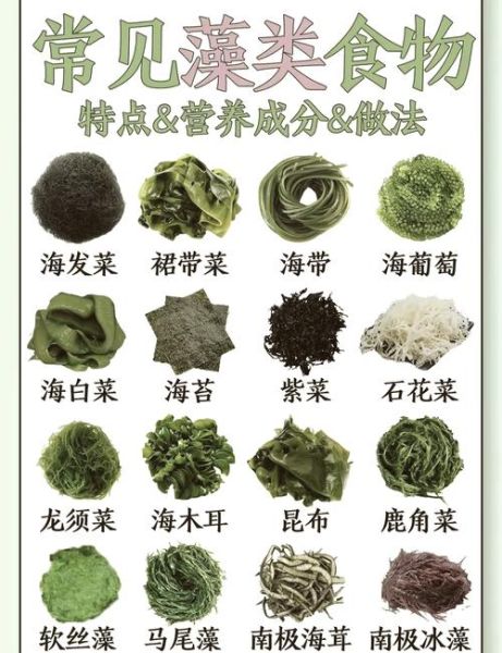 海木耳是什么_海木耳和黑木耳的区别-第1张图片-山城妙识 海木耳是什么_海木耳和黑木耳的区别-第1张图片-山城妙识