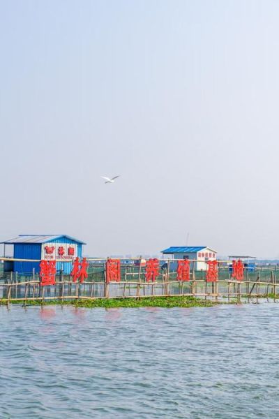 阳澄湖大闸蟹什么时候上市_2024年开捕时间-第2张图片-山城妙识