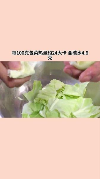 圆生菜和圆白菜的区别_哪个更适合减肥-第3张图片-山城妙识 圆生菜和圆白菜的区别_哪个更适合减肥-第3张图片-山城妙识