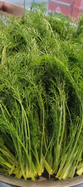 茴香苗怎么吃_茴香苗做法大全-第1张图片-山城妙识