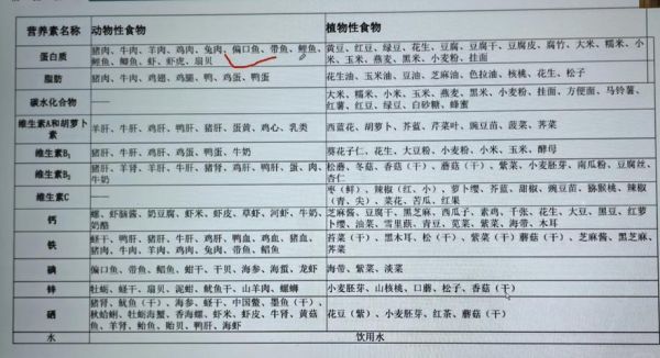 如何编制健康食谱_食谱编制有哪些注意事项-第3张图片-山城妙识 如何编制健康食谱_食谱编制有哪些注意事项-第3张图片-山城妙识