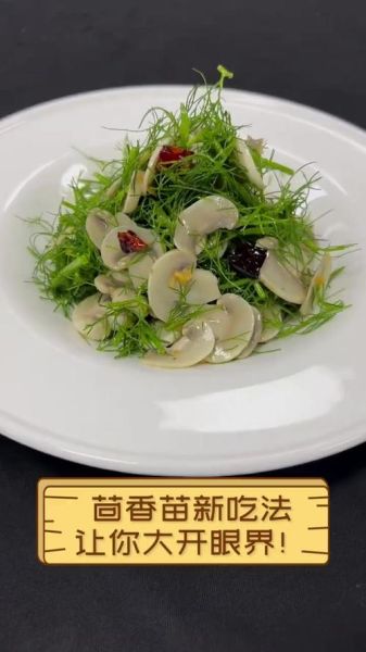 茴香苗怎么吃_茴香苗做法大全-第2张图片-山城妙识