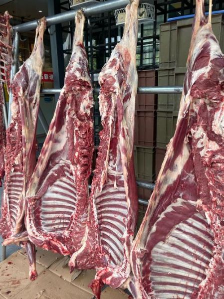 羊肉价格今日查询_今日羊肉多少钱一斤-第1张图片-山城妙识