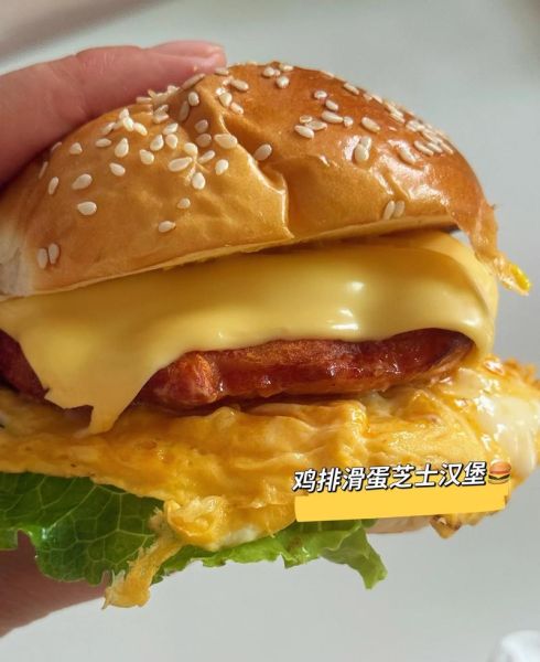 汉堡肉怎么做才嫩_汉堡肉饼用什么肉最好-第3张图片-山城妙识