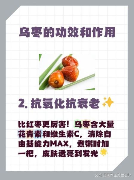 乌枣是什么_乌枣的功效与作用-第3张图片-山城妙识