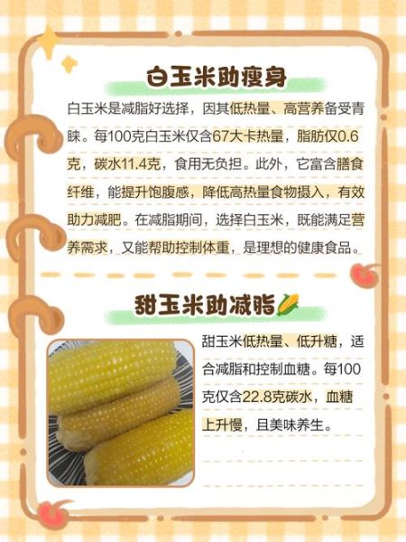 玉米减肥能吃吗_玉米的功效与作用减肥-第3张图片-山城妙识 玉米减肥能吃吗_玉米的功效与作用减肥-第3张图片-山城妙识