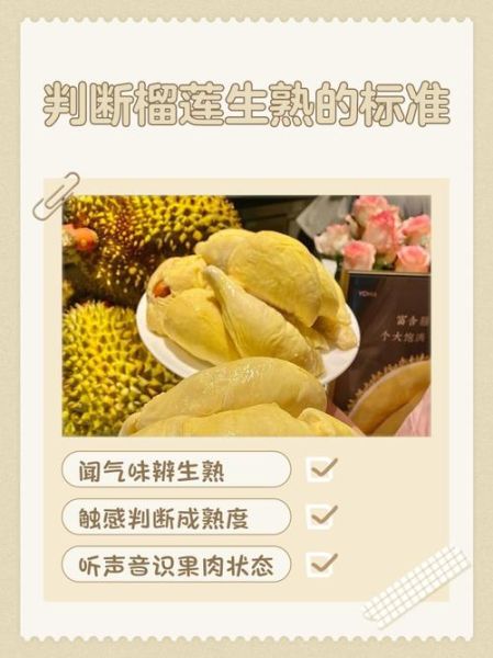 生榴莲放几天才能熟_如何判断榴莲成熟-第1张图片-山城妙识 生榴莲放几天才能熟_如何判断榴莲成熟-第1张图片-山城妙识