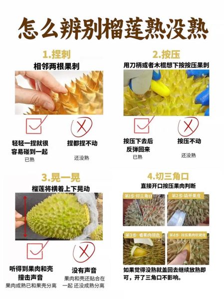 生榴莲放几天才能熟_如何判断榴莲成熟-第3张图片-山城妙识 生榴莲放几天才能熟_如何判断榴莲成熟-第3张图片-山城妙识
