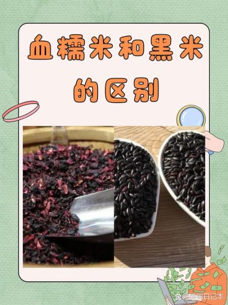 血糯米的功效与作用及禁忌_血糯米什么人不能吃-第2张图片-山城妙识 血糯米的功效与作用及禁忌_血糯米什么人不能吃-第2张图片-山城妙识