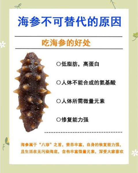 海参怎么吃最营养_海参的功效与作用-第1张图片-山城妙识 海参怎么吃最营养_海参的功效与作用-第1张图片-山城妙识