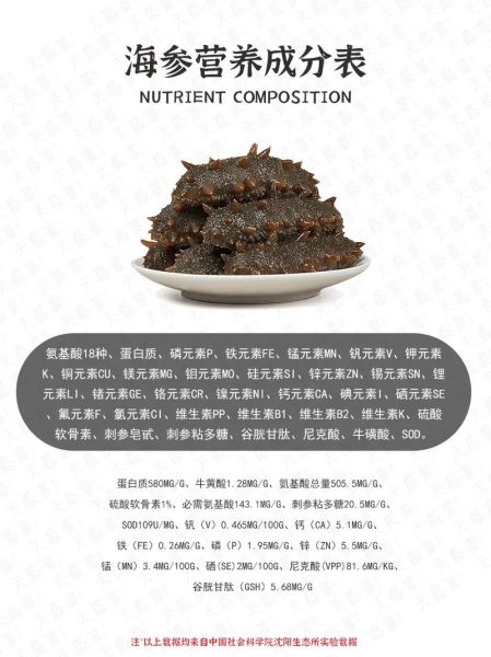 海参怎么吃最营养_海参的功效与作用-第2张图片-山城妙识 海参怎么吃最营养_海参的功效与作用-第2张图片-山城妙识