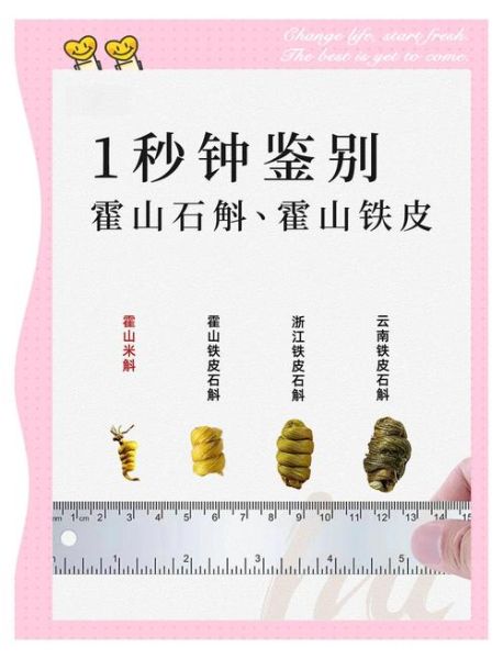 石斛花图片_如何辨别真假-第2张图片-山城妙识