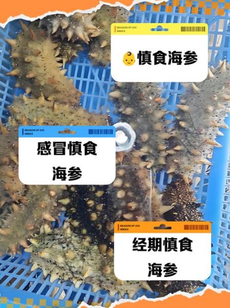 海参肽不适宜人群有哪些_海参肽禁忌人群-第1张图片-山城妙识