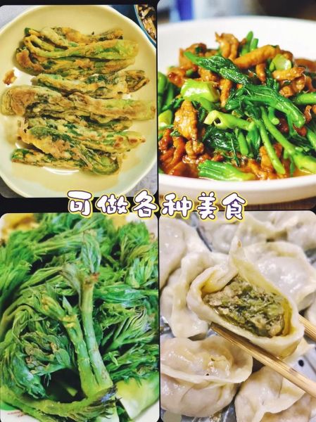 刺老芽多少钱一斤_刺老芽价格受哪些因素影响-第2张图片-山城妙识