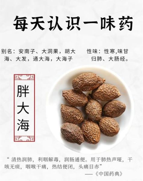 胖大海的功效与禁忌_哪些人不能喝-第1张图片-山城妙识 胖大海的功效与禁忌_哪些人不能喝-第1张图片-山城妙识
