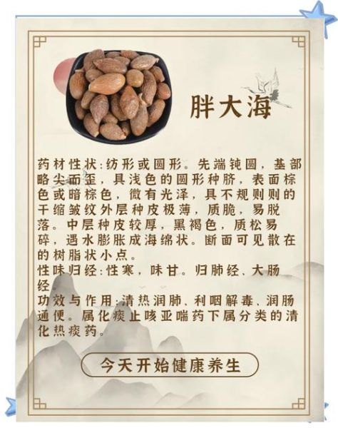 胖大海的功效与禁忌_哪些人不能喝-第2张图片-山城妙识 胖大海的功效与禁忌_哪些人不能喝-第2张图片-山城妙识