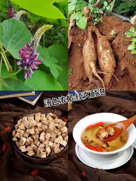 葛根煲汤搭配什么好_葛根煲汤的最佳食材组合-第1张图片-山城妙识