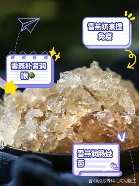 雪燕的功效与禁忌_雪燕怎么吃才安全-第3张图片-山城妙识