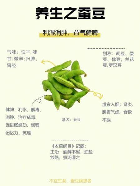 蚕豆的功效与作用_蚕豆的禁忌和食用方法-第1张图片-山城妙识 蚕豆的功效与作用_蚕豆的禁忌和食用方法-第1张图片-山城妙识