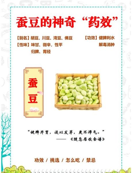 蚕豆的功效与作用_蚕豆的禁忌和食用方法-第3张图片-山城妙识 蚕豆的功效与作用_蚕豆的禁忌和食用方法-第3张图片-山城妙识