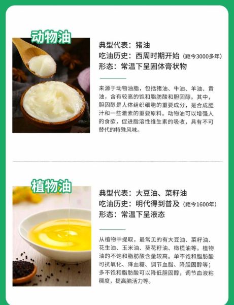 植物油和动物油哪个更健康_如何科学选择食用油-第1张图片-山城妙识 植物油和动物油哪个更健康_如何科学选择食用油-第1张图片-山城妙识