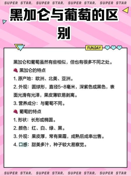 黑加仑葡萄多少钱一斤_黑加仑葡萄价格行情-第3张图片-山城妙识 黑加仑葡萄多少钱一斤_黑加仑葡萄价格行情-第3张图片-山城妙识