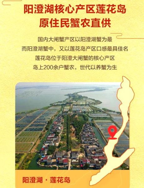 正宗大闸蟹怎么挑选_阳澄湖大闸蟹真假辨别-第1张图片-山城妙识