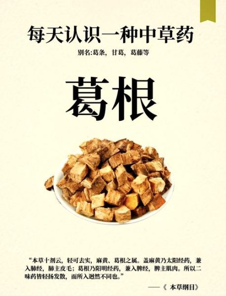 葛根有什么好处_葛根的功效与作用-第1张图片-山城妙识