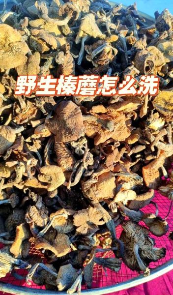 榛蘑煮多久能熟_榛蘑要焯水吗-第3张图片-山城妙识
