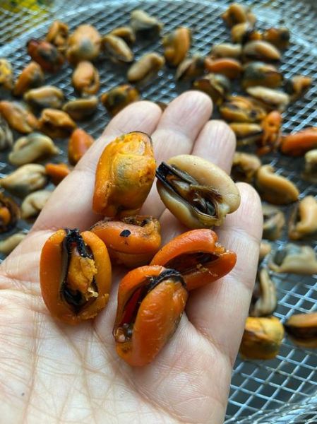 淡菜怎么做好吃_淡菜的家常做法大全-第2张图片-山城妙识 淡菜怎么做好吃_淡菜的家常做法大全-第2张图片-山城妙识