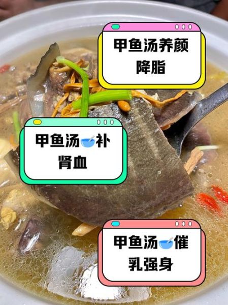甲鱼汤的功效与作用及禁忌_什么人不能喝甲鱼汤-第1张图片-山城妙识 甲鱼汤的功效与作用及禁忌_什么人不能喝甲鱼汤-第1张图片-山城妙识
