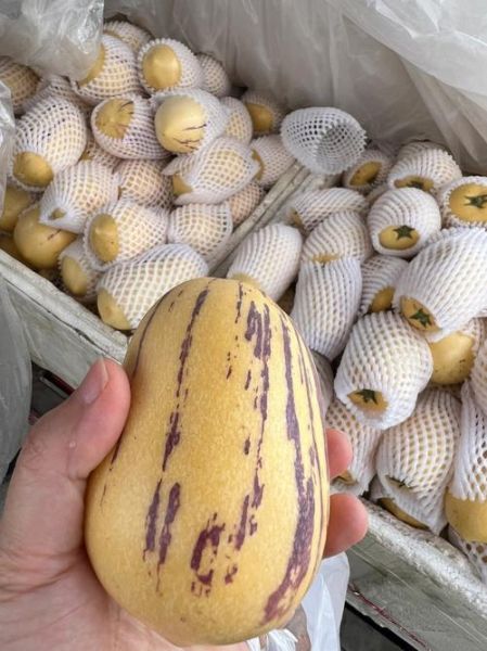 人参果价格多少钱一斤_人参果为什么这么贵-第1张图片-山城妙识