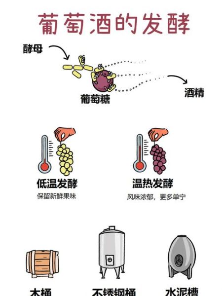 葡萄酒一次发酵正常图_如何判断是否成功-第1张图片-山城妙识 葡萄酒一次发酵正常图_如何判断是否成功-第1张图片-山城妙识