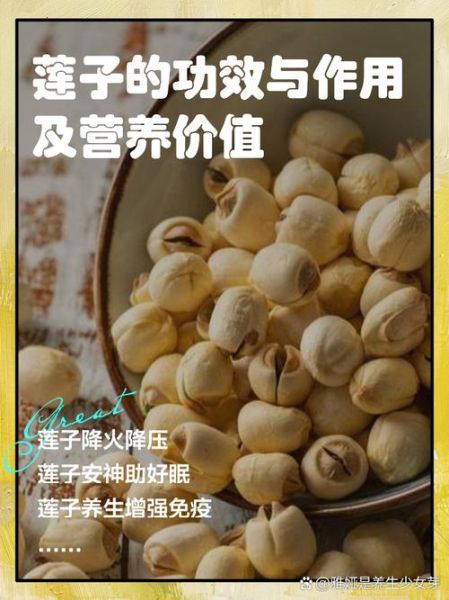 莲子生吃有什么好处_莲子生吃功效与作用-第1张图片-山城妙识 莲子生吃有什么好处_莲子生吃功效与作用-第1张图片-山城妙识