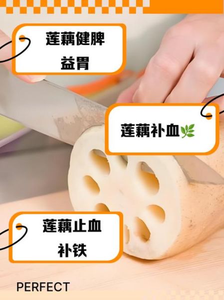 莲菜的功效与作用_莲菜怎么吃最养胃-第1张图片-山城妙识