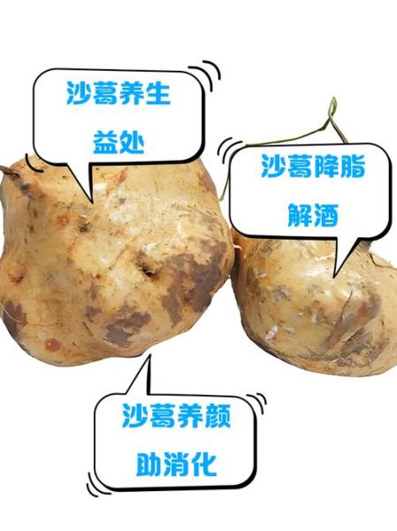 沙葛怎么保存_沙葛可以生吃吗-第1张图片-山城妙识 沙葛怎么保存_沙葛可以生吃吗-第1张图片-山城妙识