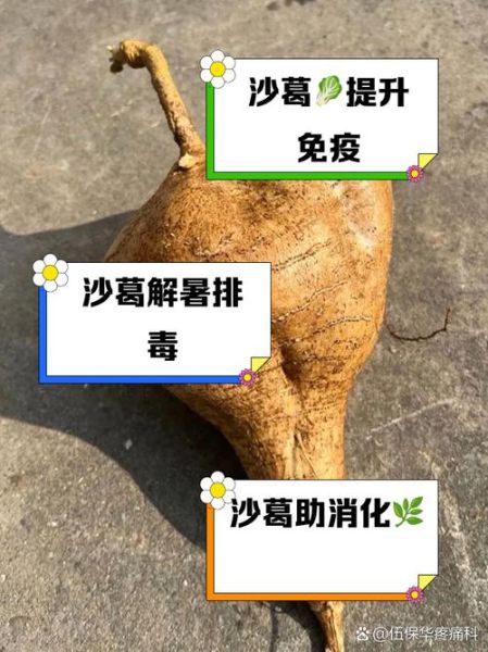 沙葛怎么保存_沙葛可以生吃吗-第3张图片-山城妙识 沙葛怎么保存_沙葛可以生吃吗-第3张图片-山城妙识