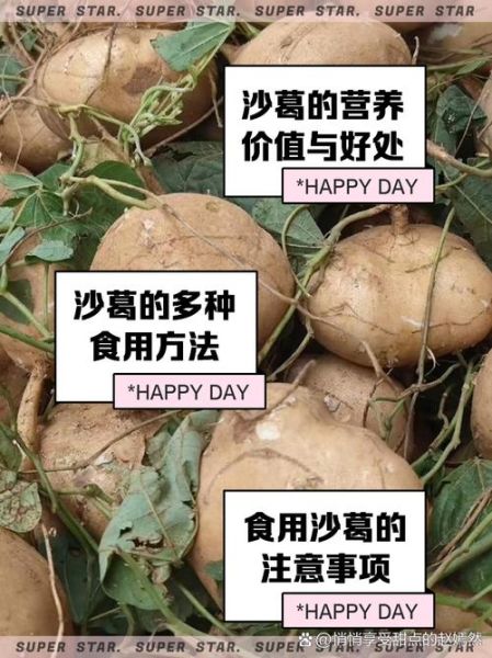 沙葛怎么保存_沙葛可以生吃吗-第2张图片-山城妙识 沙葛怎么保存_沙葛可以生吃吗-第2张图片-山城妙识